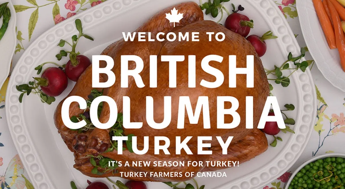 Win a brand new BBQ and $100 to spend on BC Turkey | 93.7 JR Country