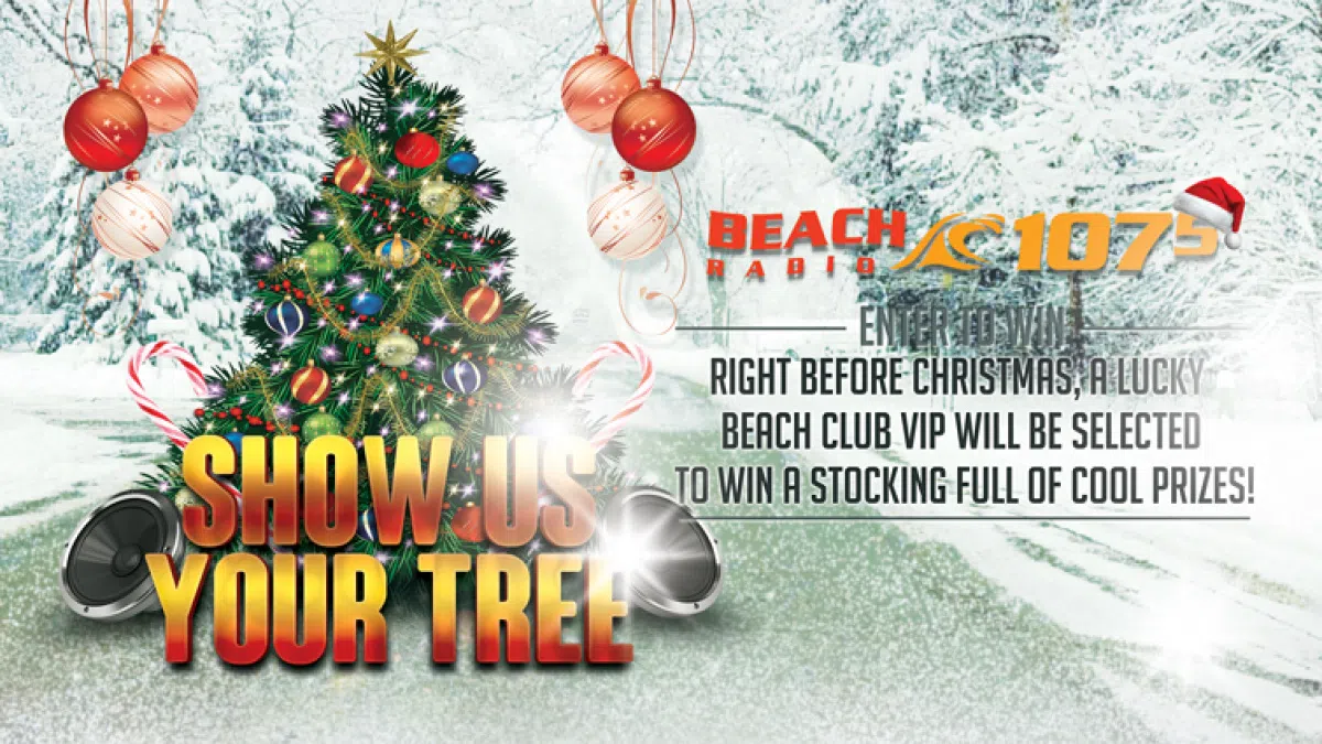 Show Us Your Christmas Tree | Vernon Matters