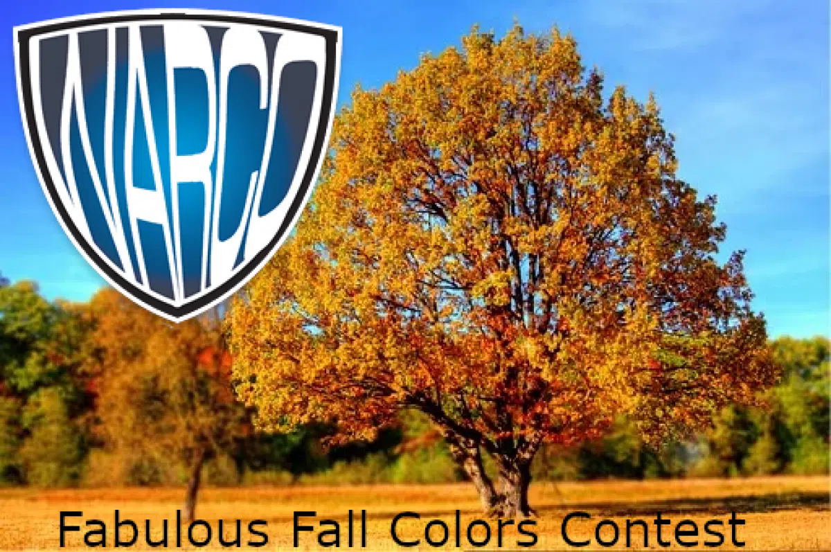 Fabulous Fall Colors Photo Contest | 97 Seven Country WGLR - The Tri ...