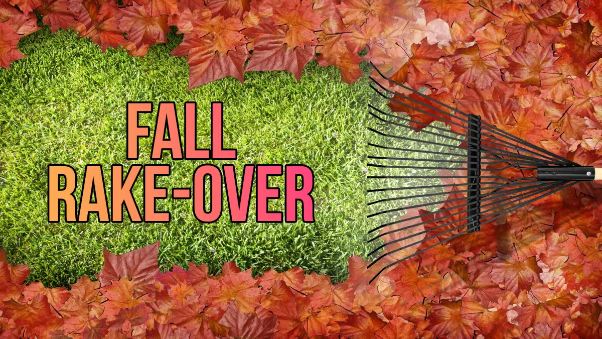 Get your yard winter ready! | QX104 - Country