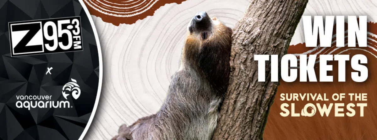 Z95.3 - Vancouver's Best Mix