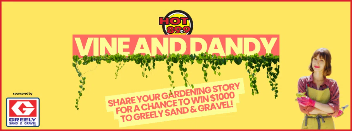 Vine and Dandy | THE NEW HOT 89.9