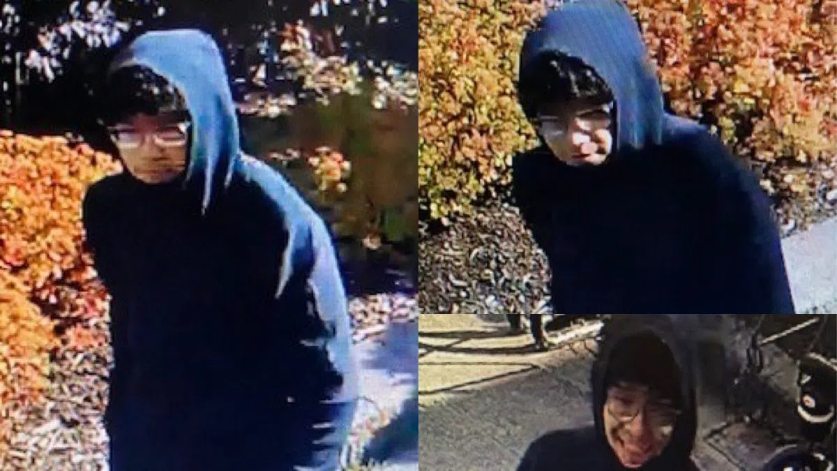 Terrace RCMP Seek Public’s Help in Identifying Bear Spray Suspect ...