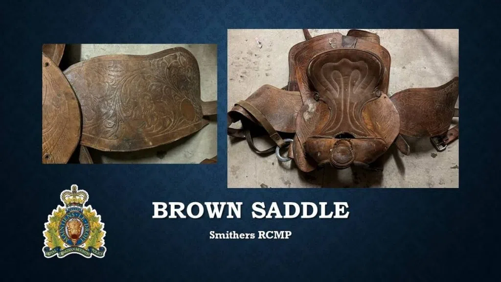 Smithers RCMP Seek Public Help to Identify Owners of Recovered Saddles ...