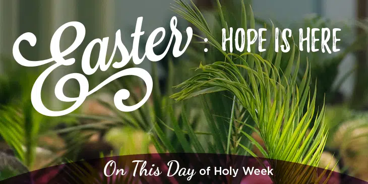 Easter Day 1: Palm Sunday /Triumphal Entry of Jesus | KCIS 630