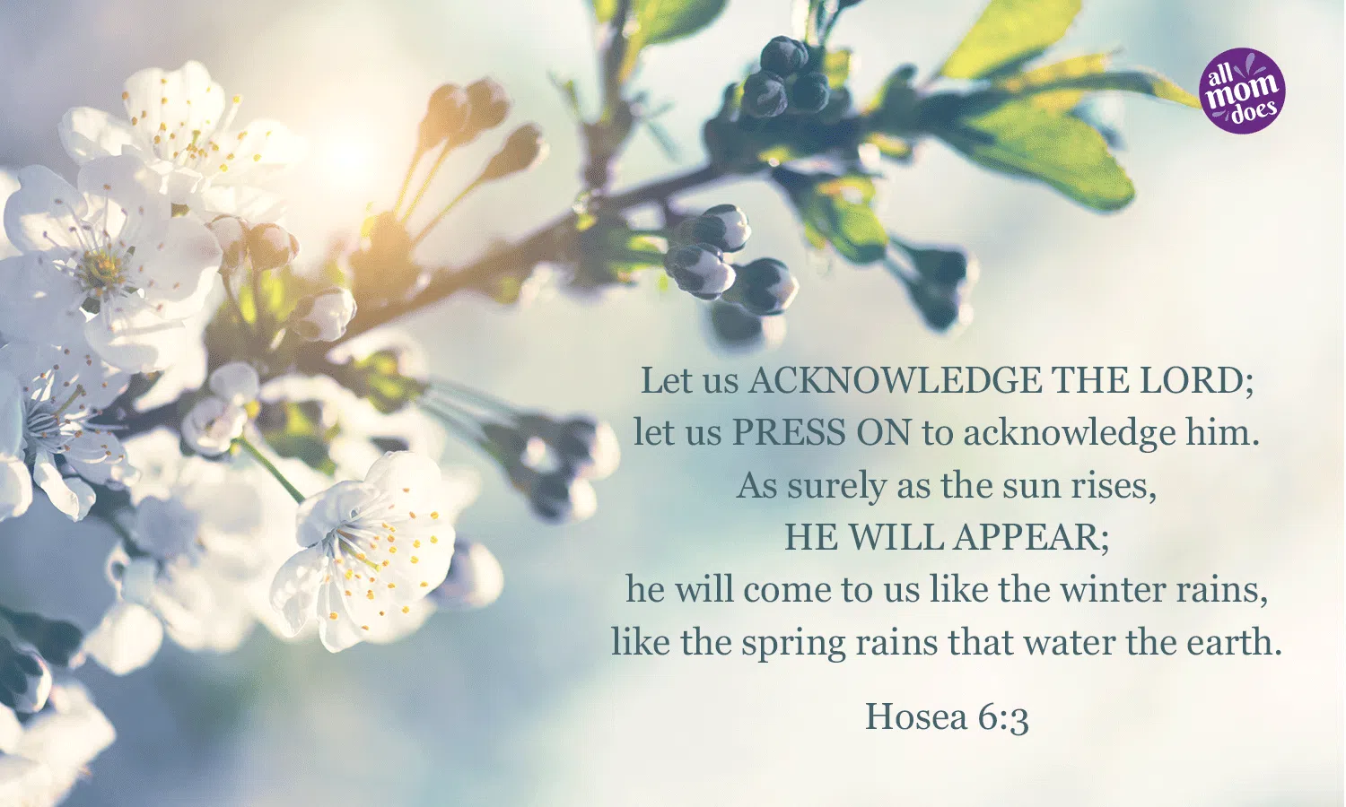 Bible Memory Verse + Coloring Page: Hosea 6:3 | AllMomDoes