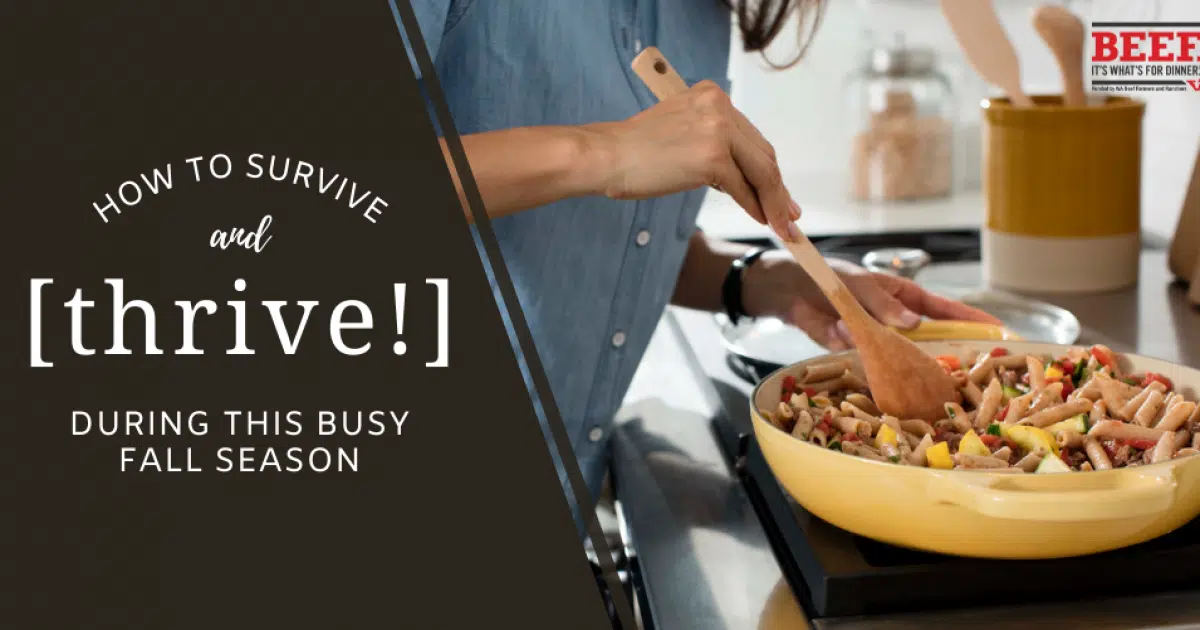 How to Survive (and Thrive!) During This Busy Fall Season | AllMomDoes