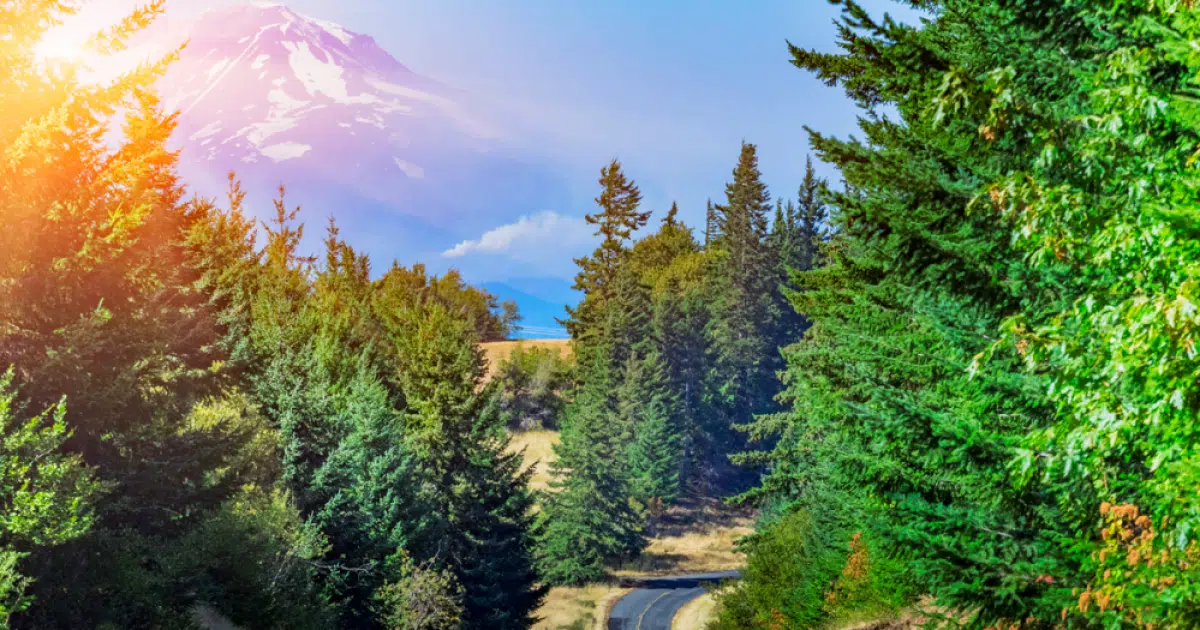 Choosing Adventure | AllMomDoes