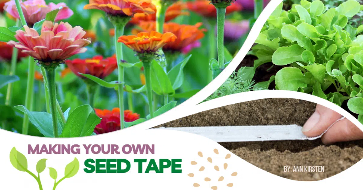 Making Your Own Seed Tape | AllMomDoes