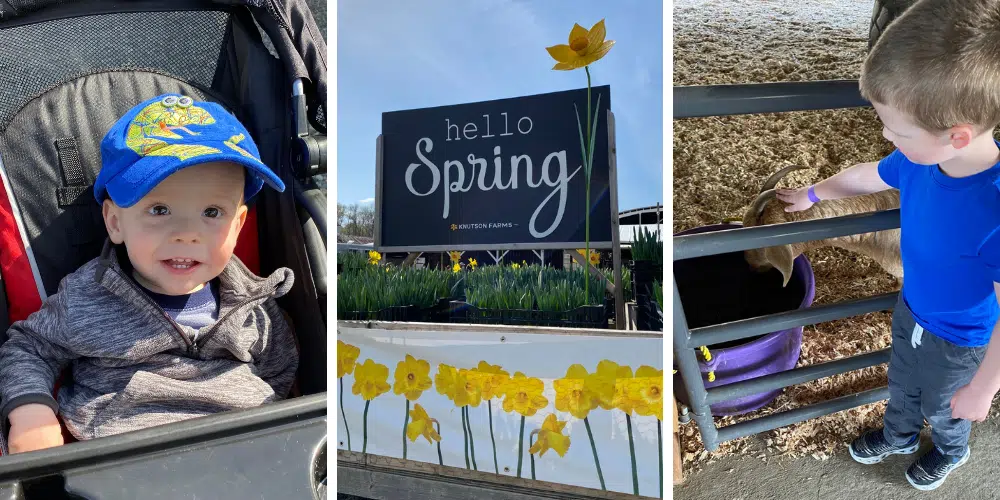 Spring Bloom at Knutson Farms | AllMomDoes