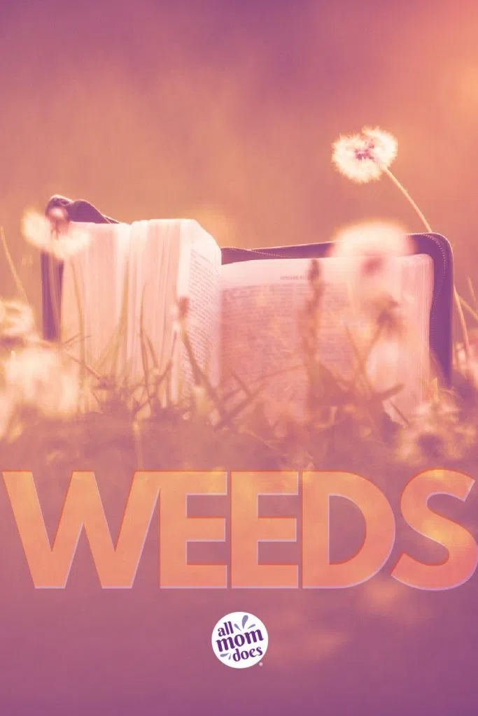 Weeds | AllMomDoes