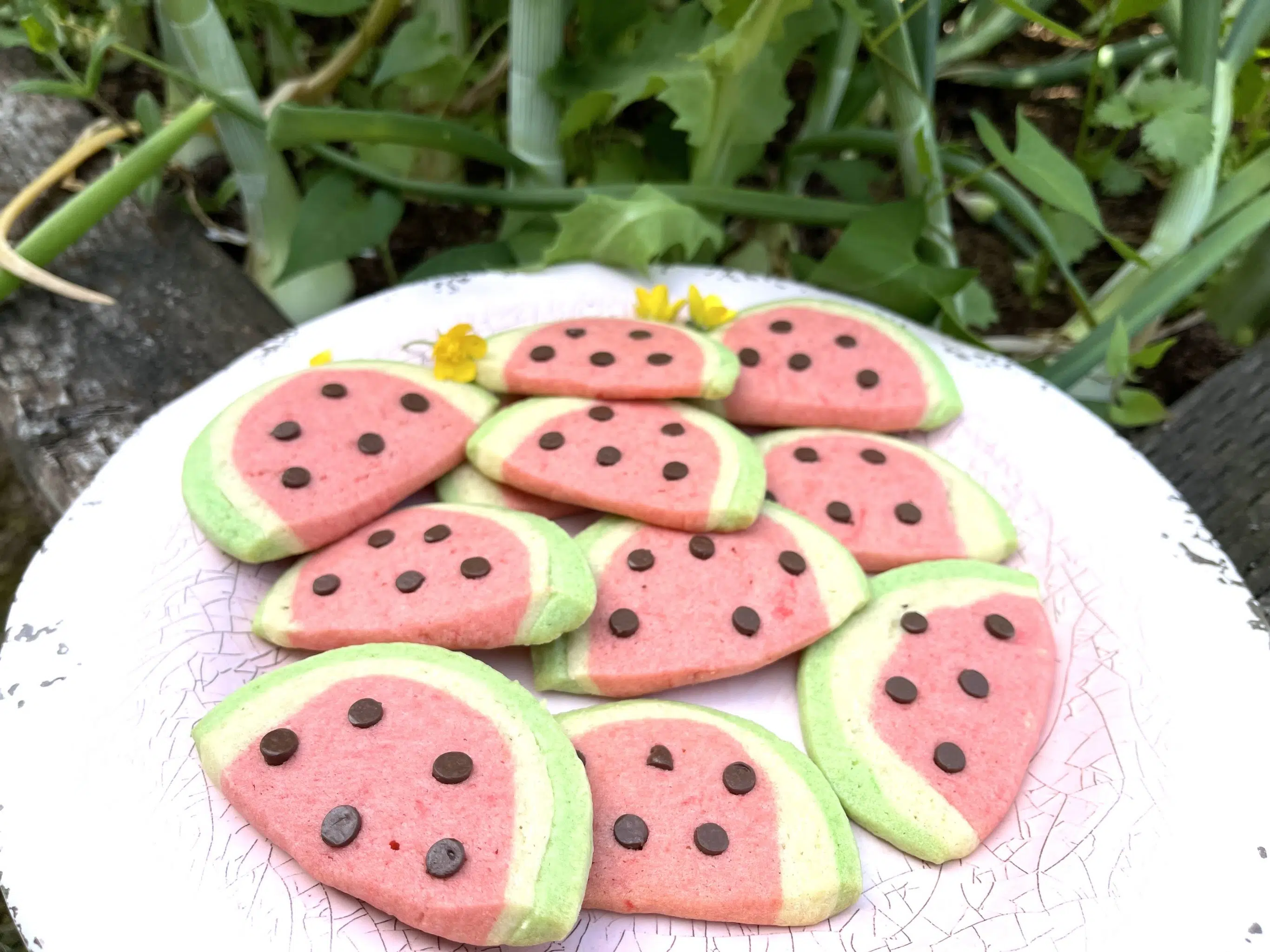 June Cookie-of-the-Month: Watermelon Slices! | AllMomDoes
