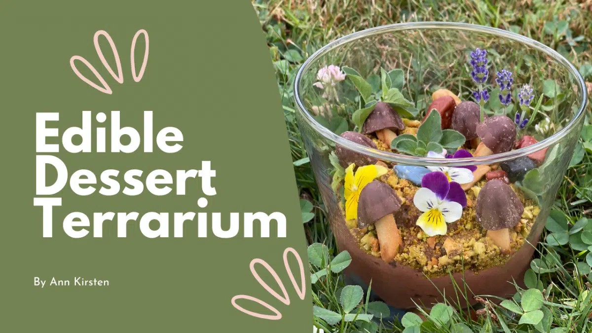 Edible Dessert Terrarium | AllMomDoes