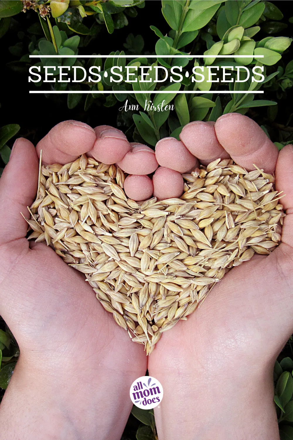 Seeds – Seeds – Seeds | AllMomDoes