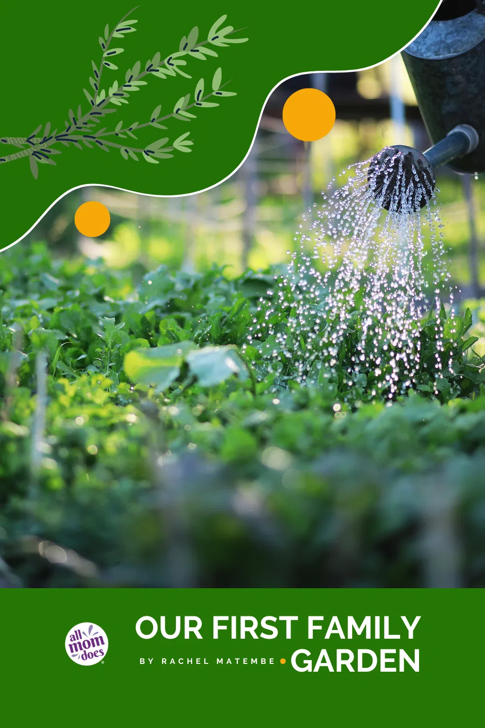 Our First Family Garden | AllMomDoes