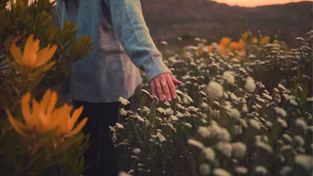 Our All Sufficient God | AllMomDoes