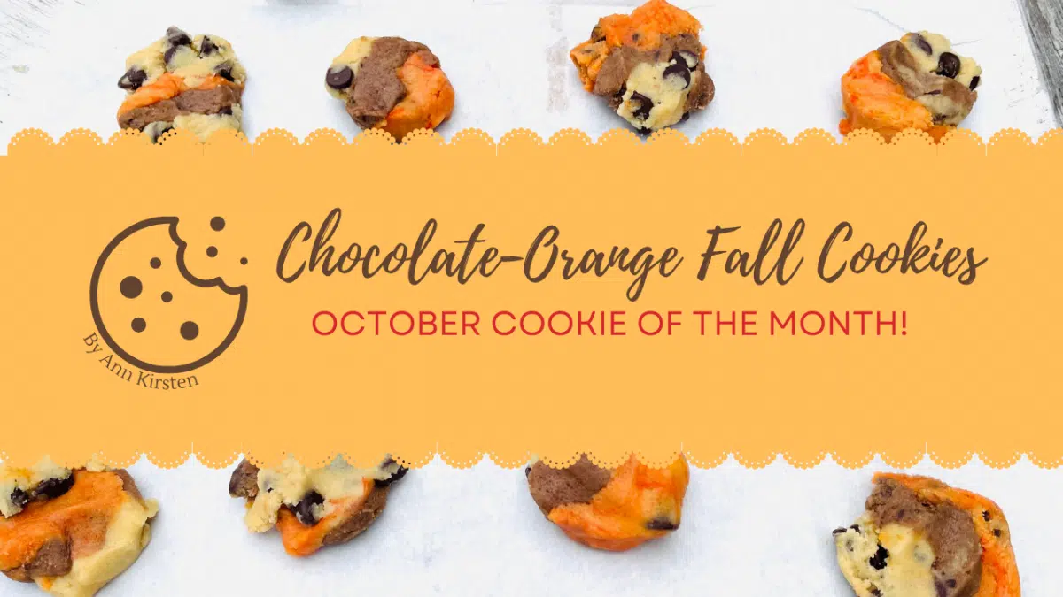 October Cookie of the Month: Chocolate-Orange Fall Cookies | AllMomDoes