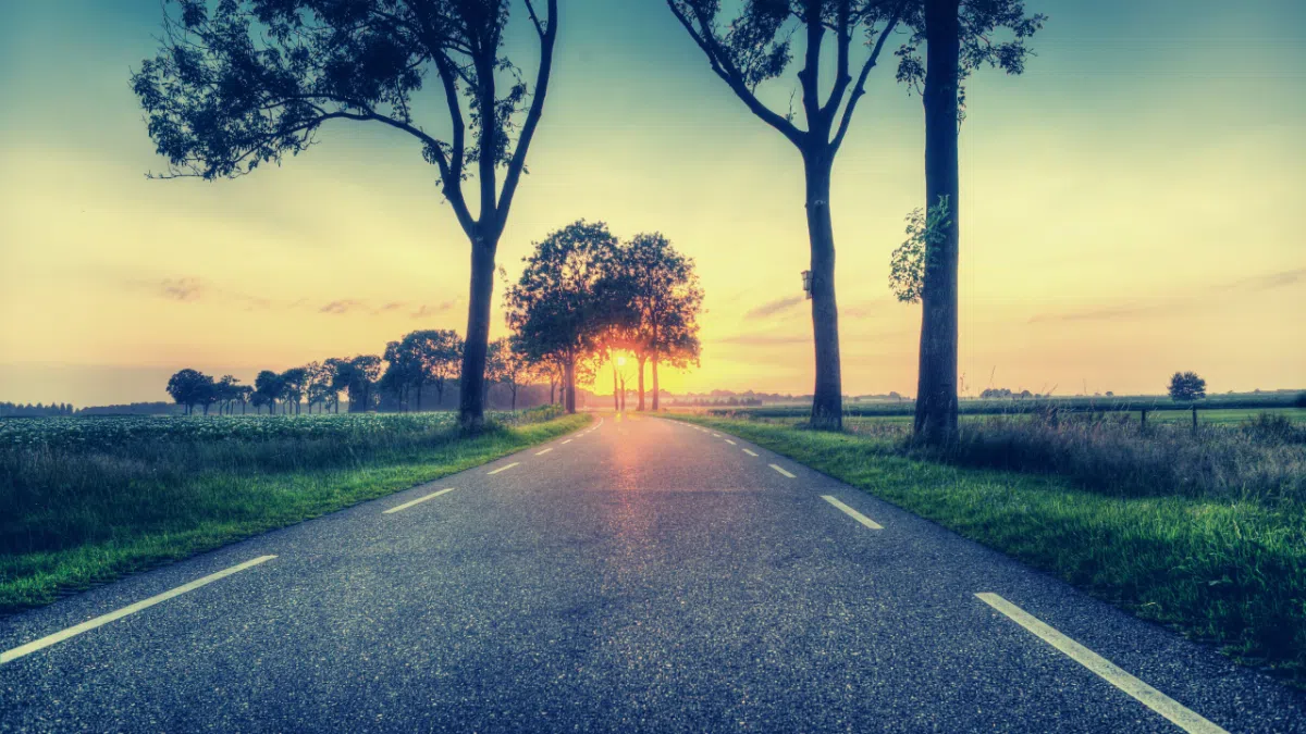 Embracing Flexibility and Freedom in the Face of Great Expectations ...