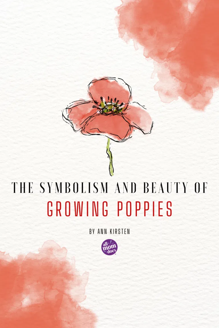 The Symbolism and Beauty of Growing Poppies | AllMomDoes