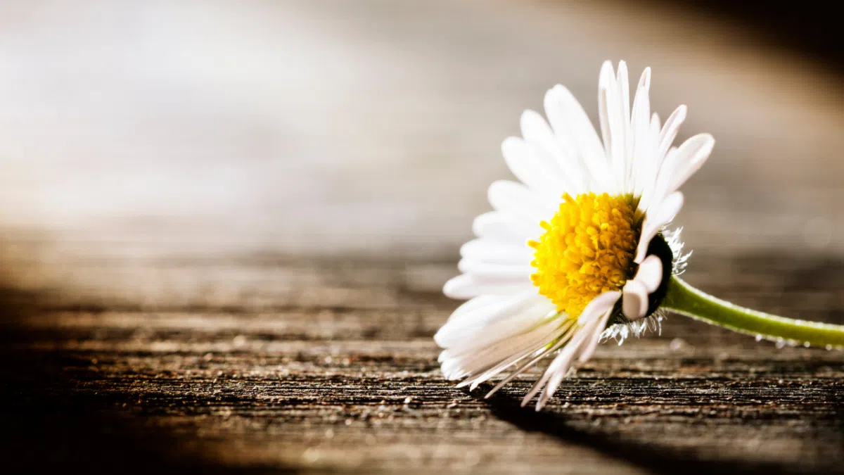 A Vision for Hope and Compassion | AllMomDoes