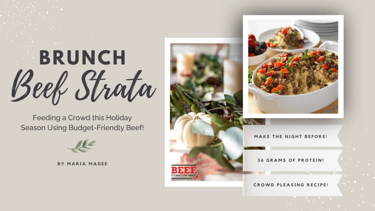 Feeding a Crowd This Holiday Season With a Budget-Friendly Beef Strata ...