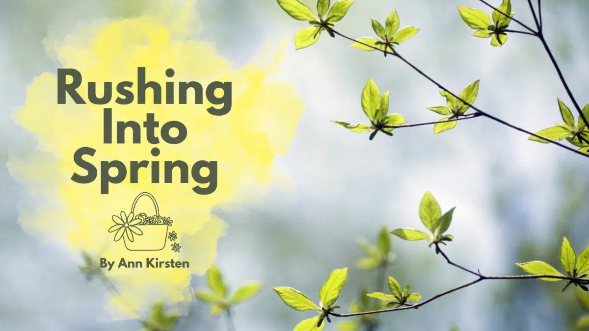 Rushing Into Spring | AllMomDoes