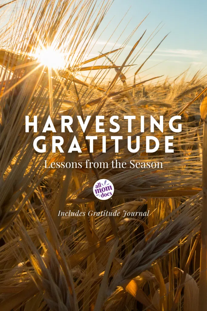 Harvesting Gratitude: Lessons from the Season | AllMomDoes
