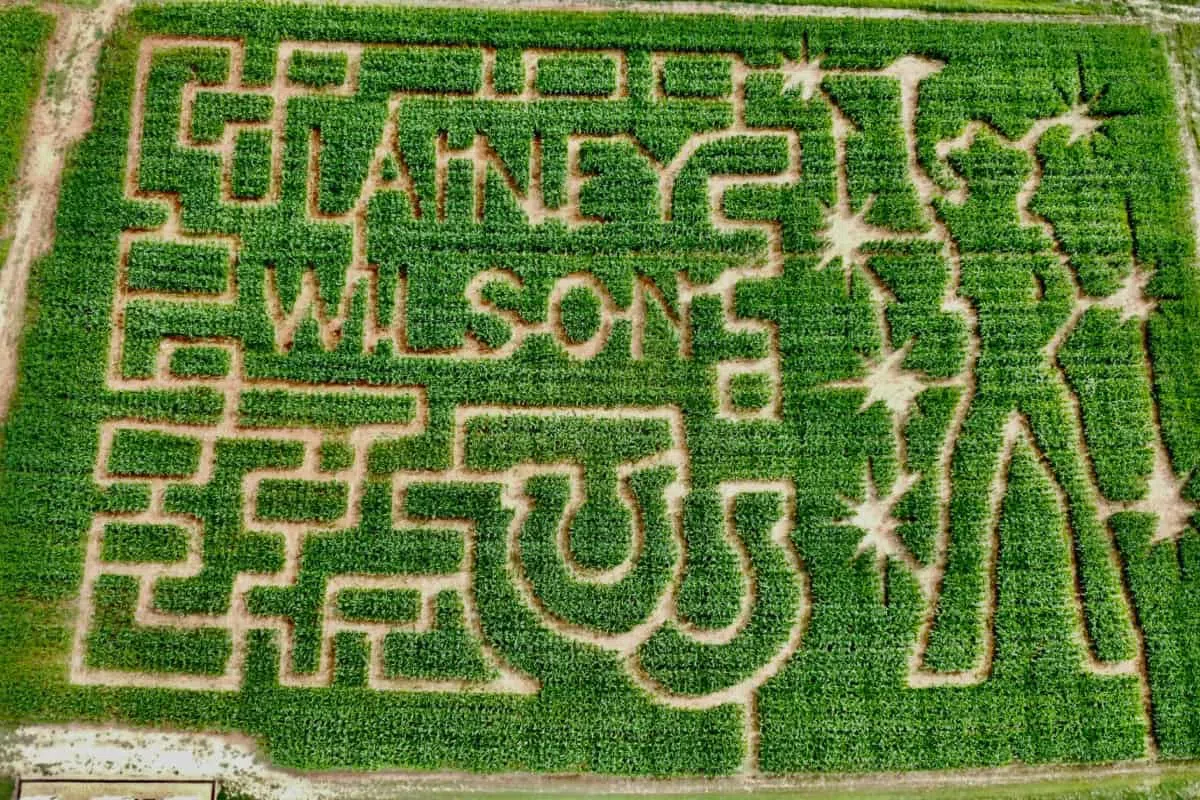 Get Lost in Lainey Wilson: The Country Star’s Corn Mazes Are Here! | KOKE FM