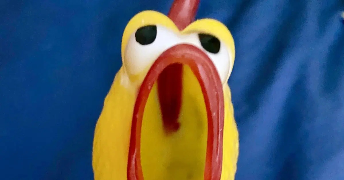 There Are Worse Things You Can Do to a Chicken Than Choke It [VIDEO ...