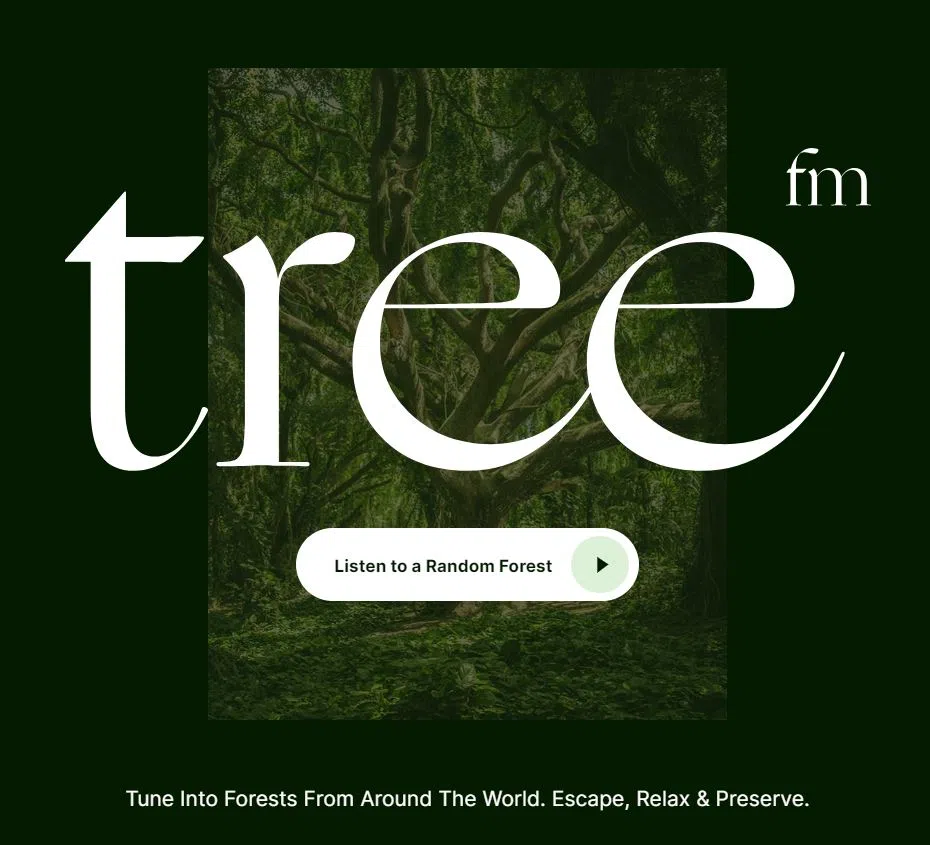 Does It Make a Sound? Yes It DOES! Get Lost in the Woods With tree.fm ...