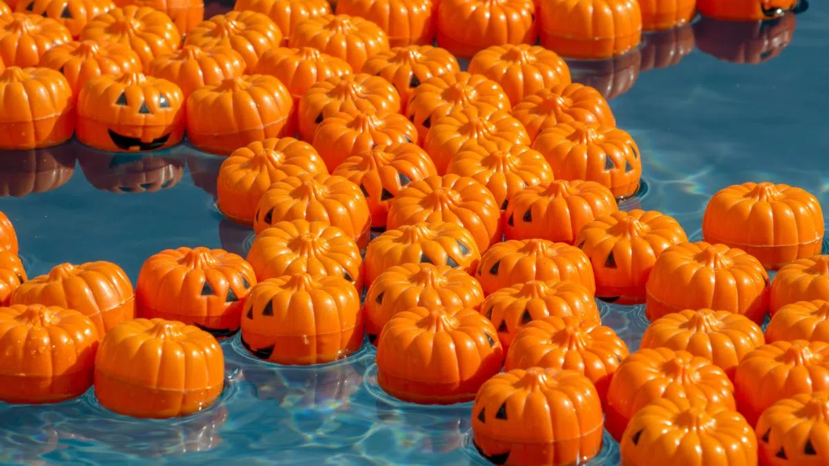 Gourd Job! Man Sets World Record By Paddling Pumpkin Down a River ...