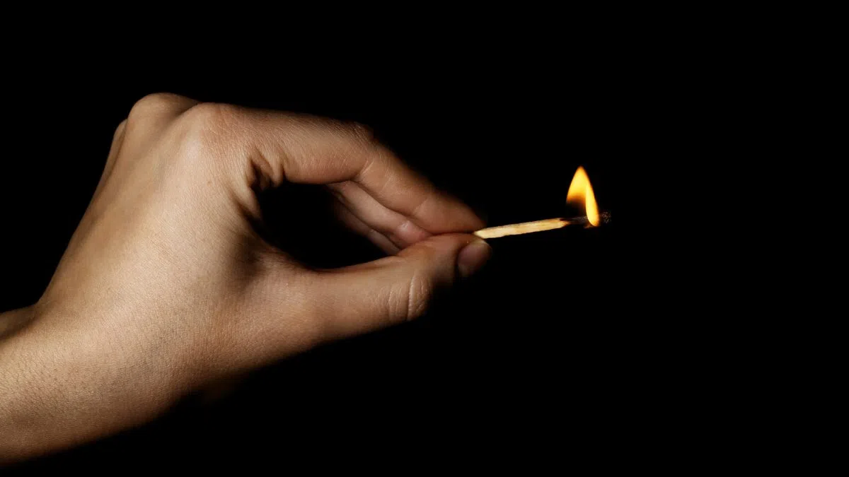 Laura Lee & Cutter Weenie of the Week: The Fond Du Lac Fire Bug Caiden ...