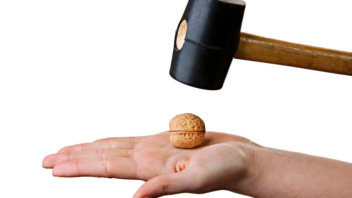 WATCH! “Mr. Hammerhands” Crush Walnut World Record [VIDEO] | 105.7 WAPL ...