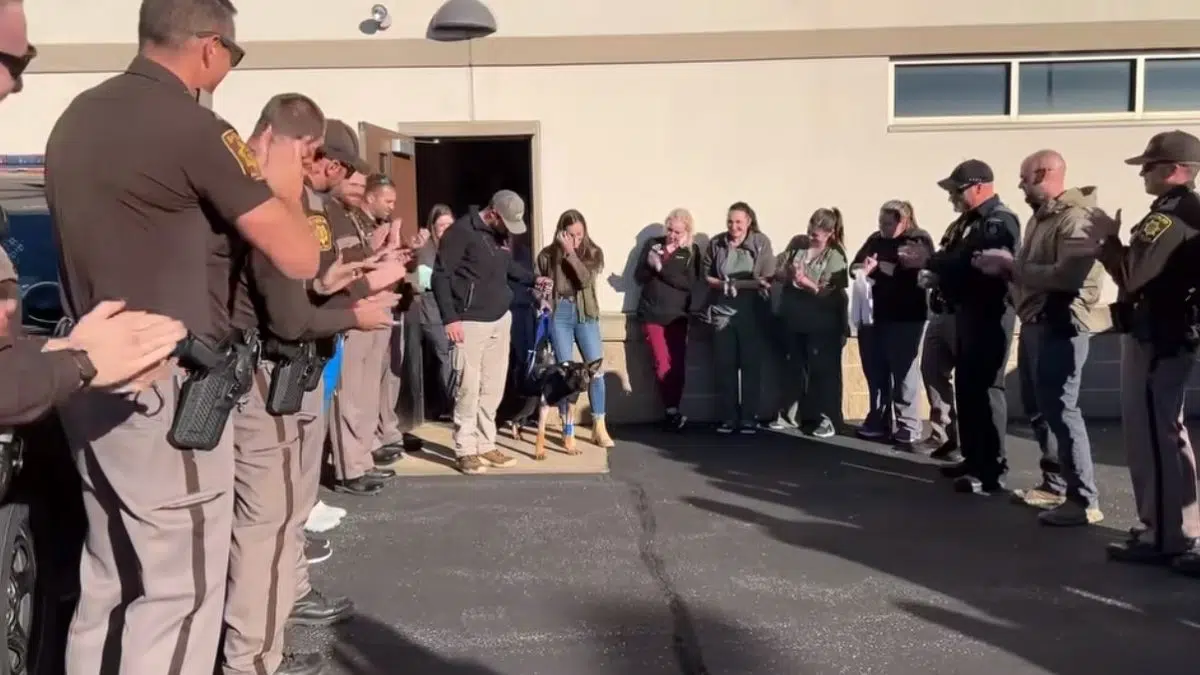 Fond du Lac County K-9 returning to duty after shooting | Razor 94.7 ...