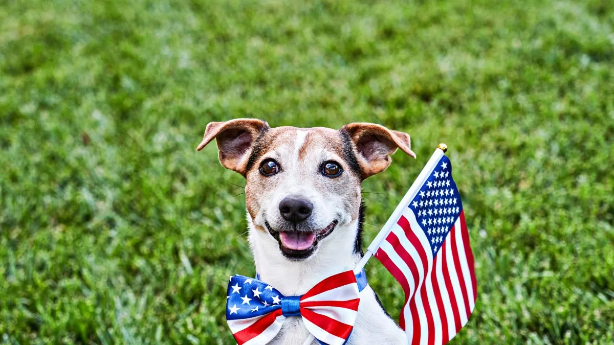 Eric Stadler-Appleton parades, 3-26-24 | WHBY