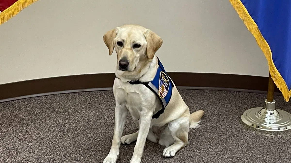 Oshkosh police welcome new therapy dog | 105.7 WAPL | The Rockin' Apple