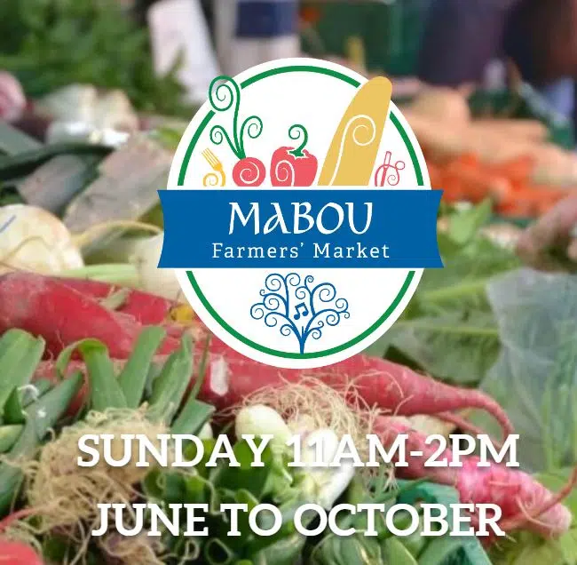 Mabou Farmers Market | 101.5 The Hawk