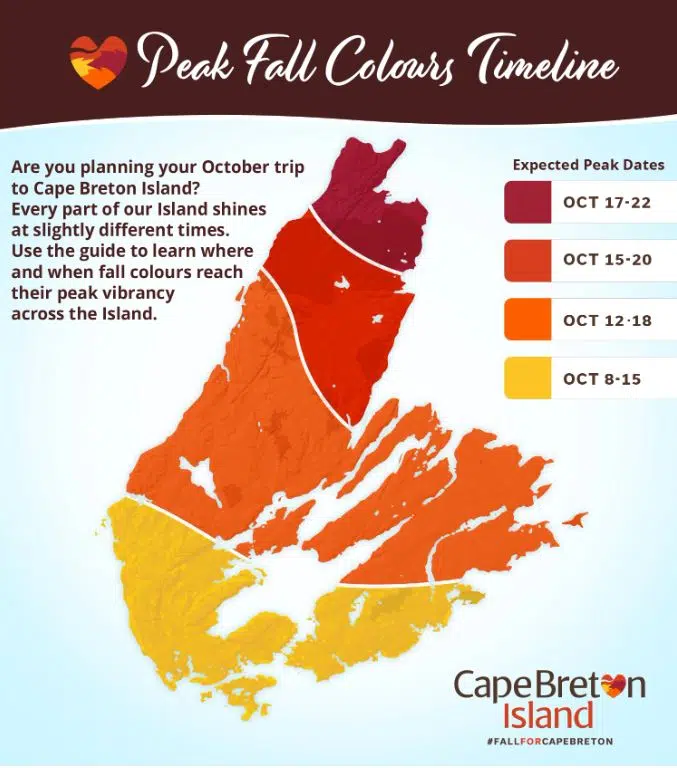 The best time to see the fall leaves in Cape Breton | 101.5 The Hawk
