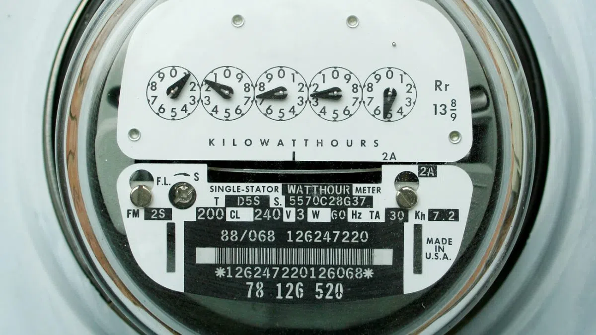 Zoe renea videos porno needed to meet her as soon as she