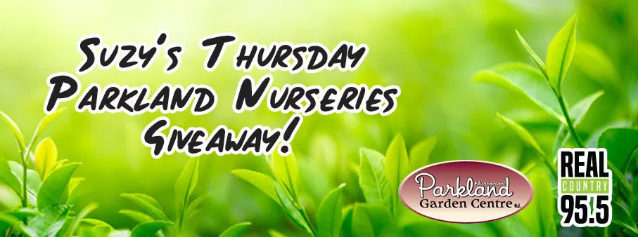 Suzy’s Thursday Parkland Nurseries Giveaway! | New Country 95.5 Red Deer