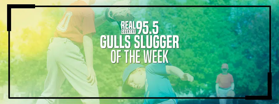 Gulls Slugger of the Week | New Country 95.5 Red Deer