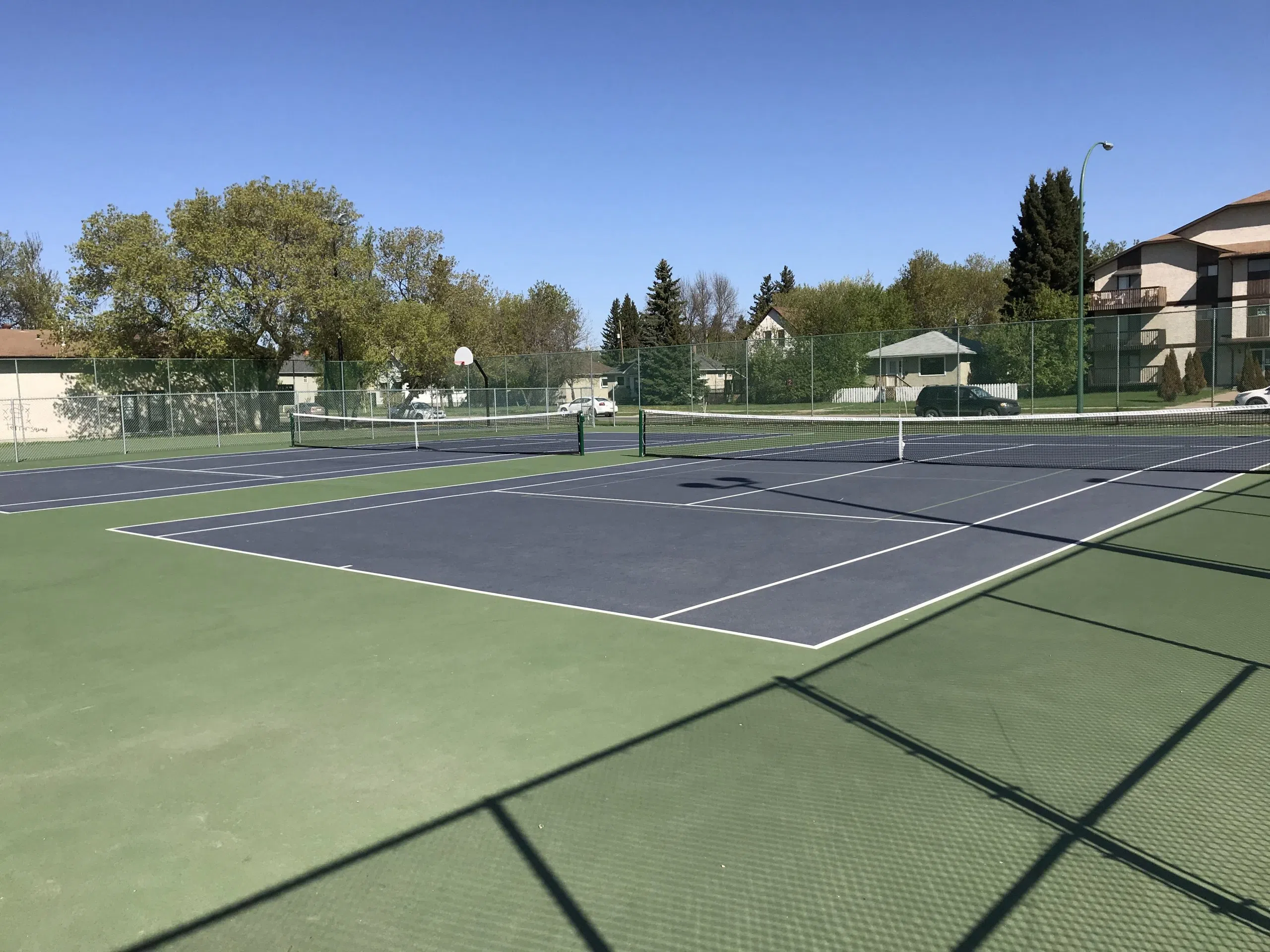 Pickleball Demonstration | paNOW