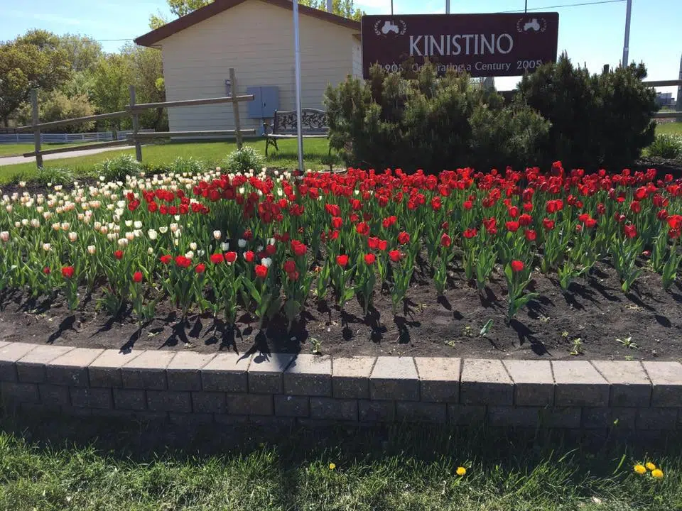 Let’s All Go to Kinistino Canada Day Celebrations | paNOW