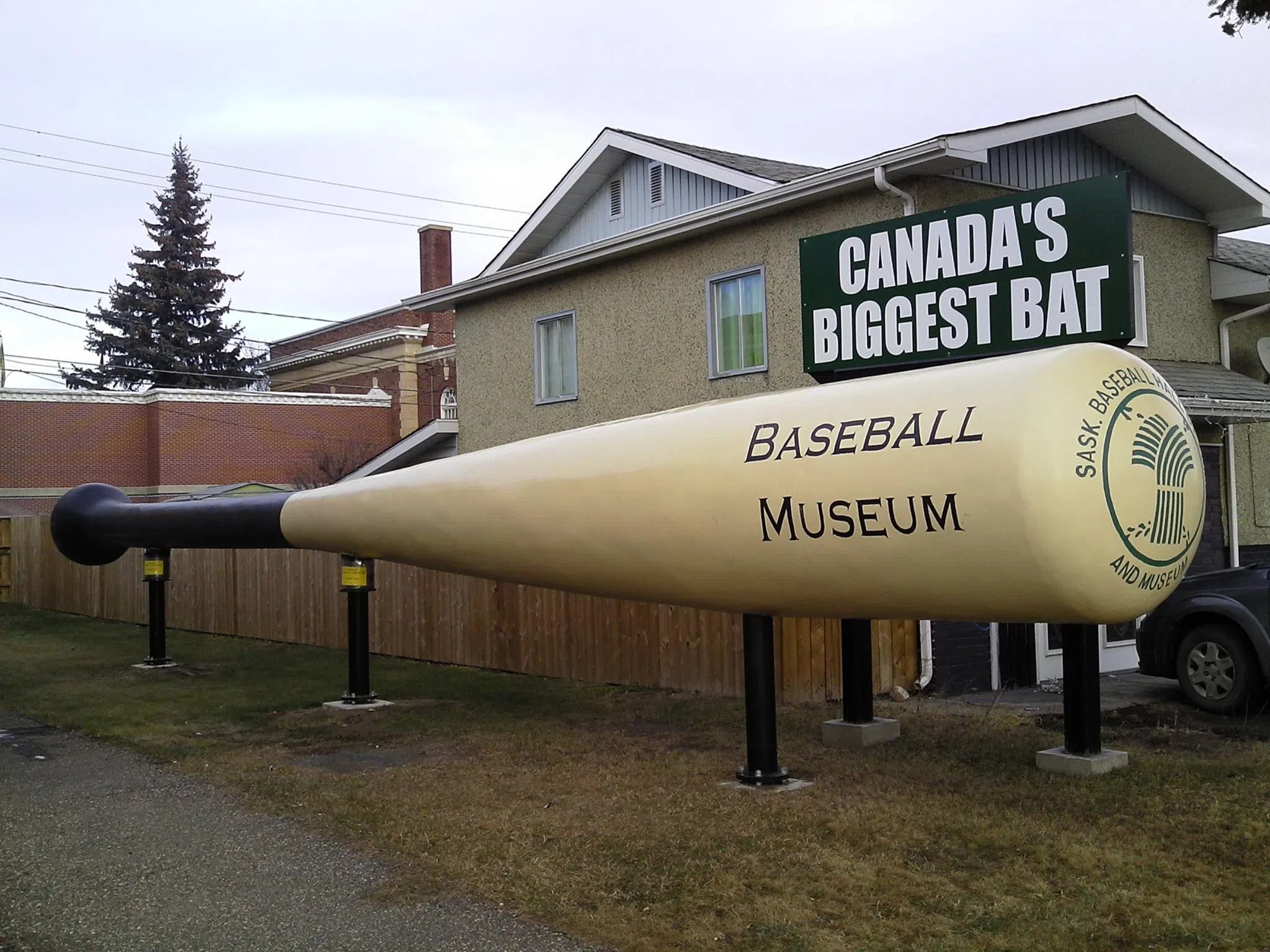 Canada’s Biggest Bat | paNOW