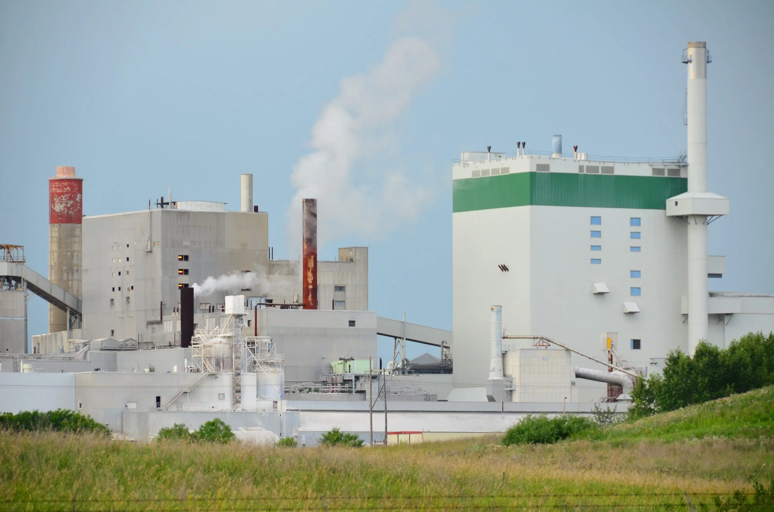 Pulp mill powers up | paNOW
