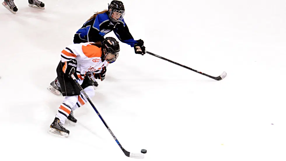 Bears suffer 2-1 loss to Wildcats | paNOW