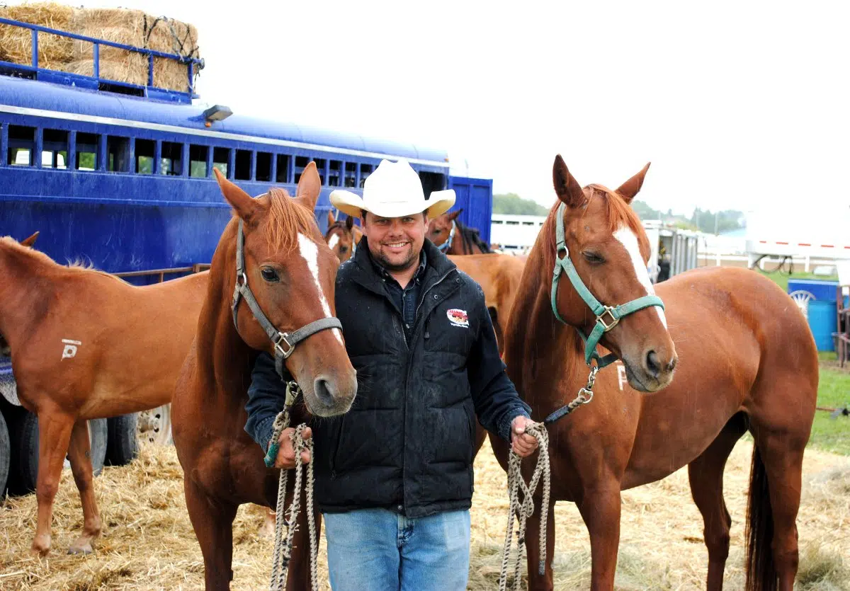 Relationship with horses crucial in chuckwagon racing | paNOW
