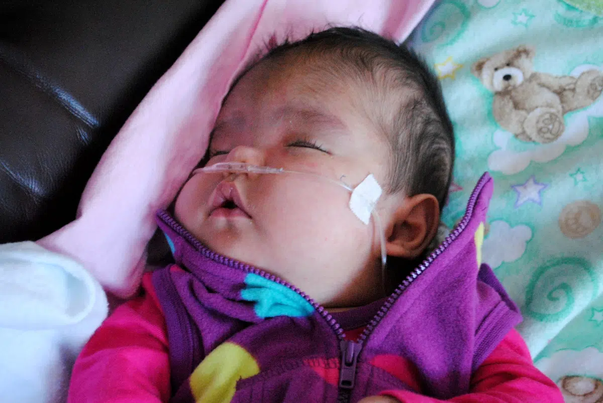 VIDEO/PHOTOS: Baby Aurora is settled at home in Prince Albert | paNOW