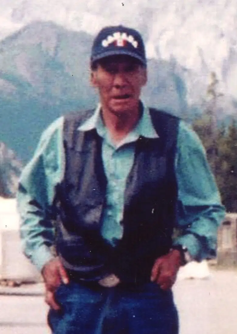 Wilbert Bear | paNOW