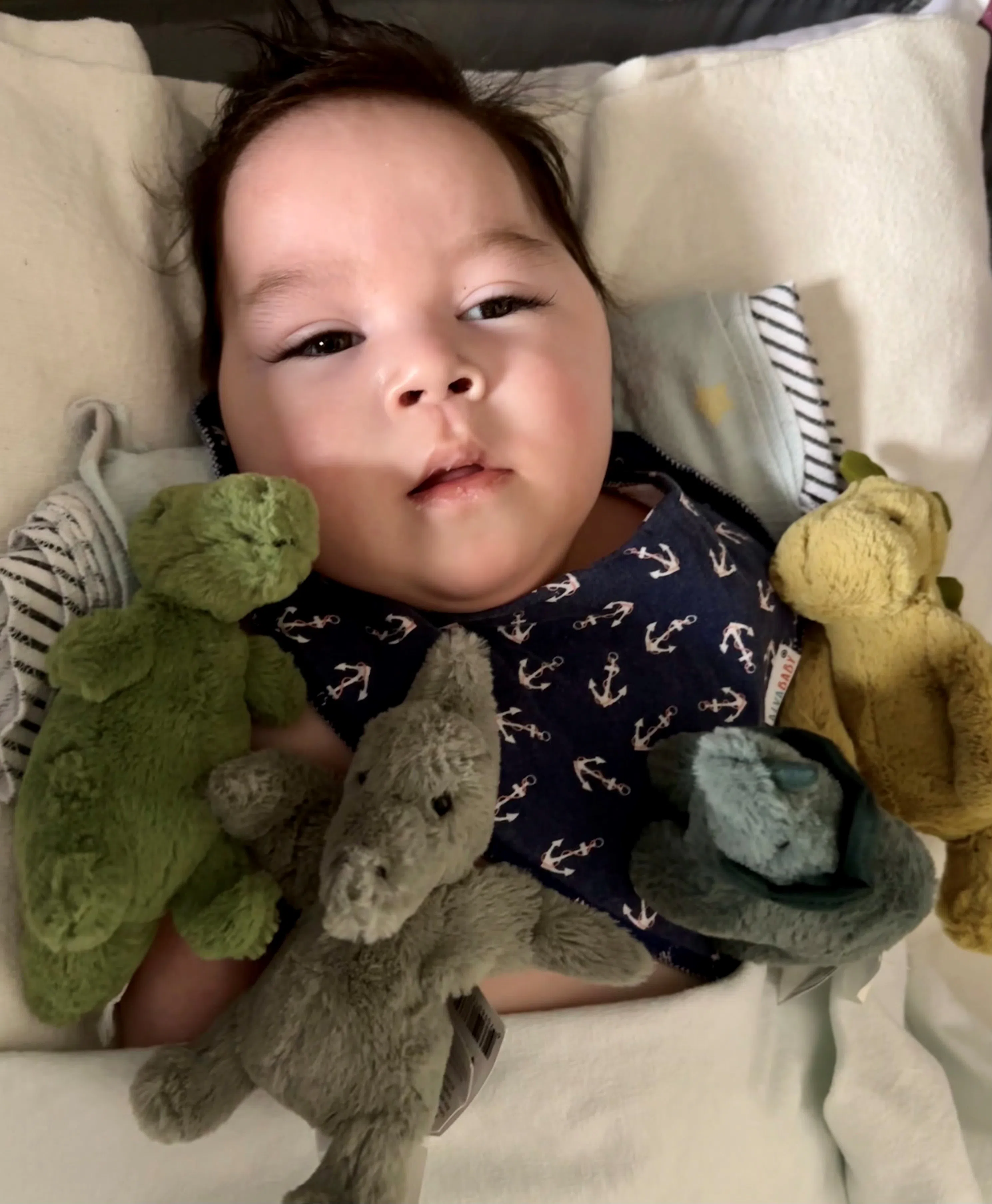 Kenna Neil Cook | paNOW